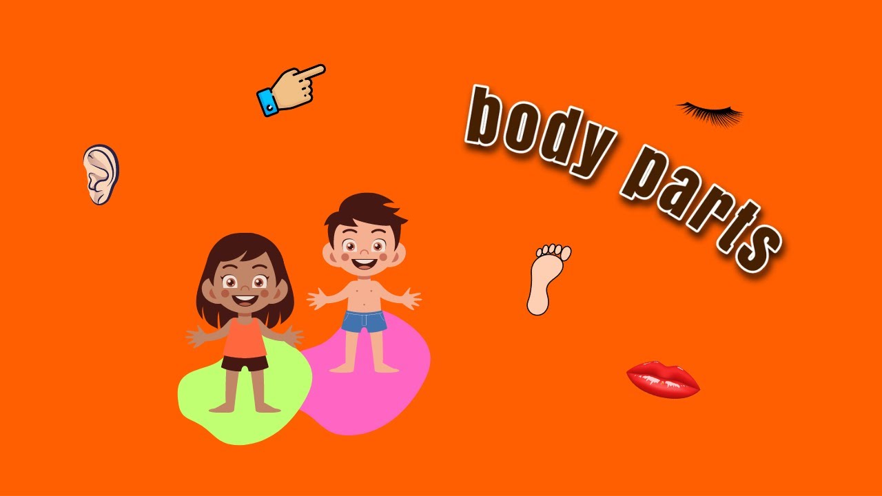 Las PARTES DEL CUERPO en INGLES (oraciones) / BODY PARTS in ENGLISH ...