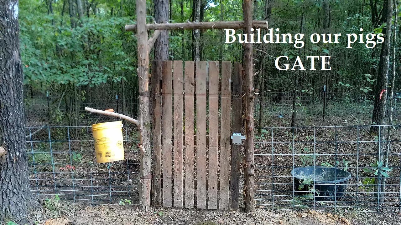 Building a FREE gate for our homestead pigs!!! - YouTube