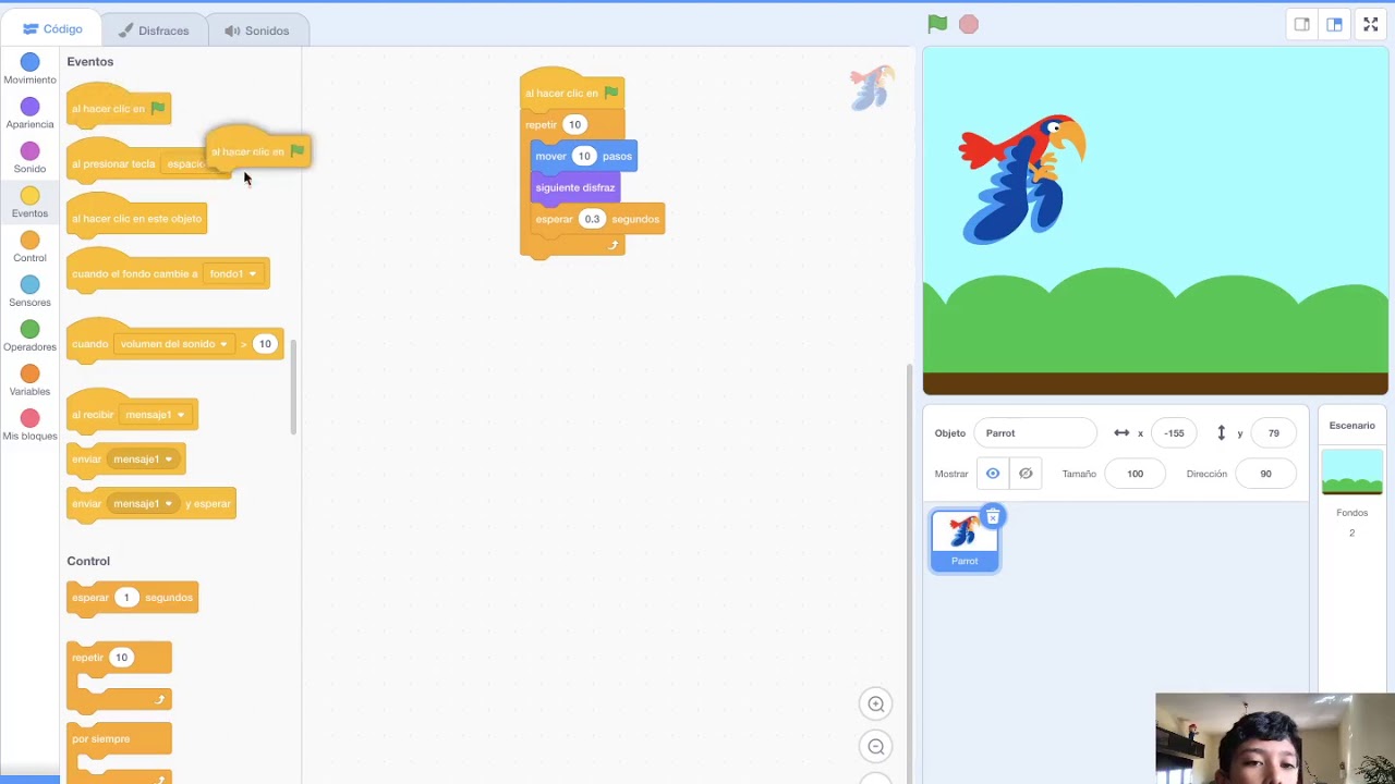 02- Programación en scratch. Loro en movimiento - YouTube