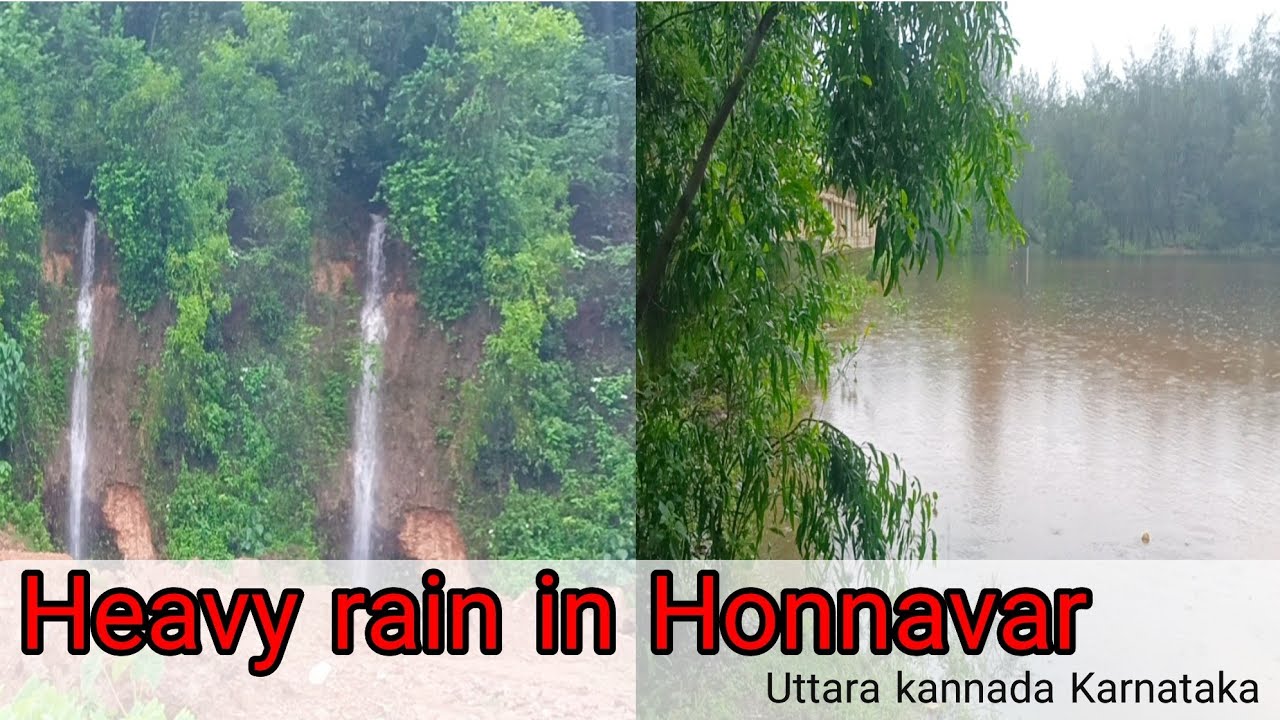 Heavy rain in Honnavar roshan Mohalla | Monsoon day | rainy day | jog ...
