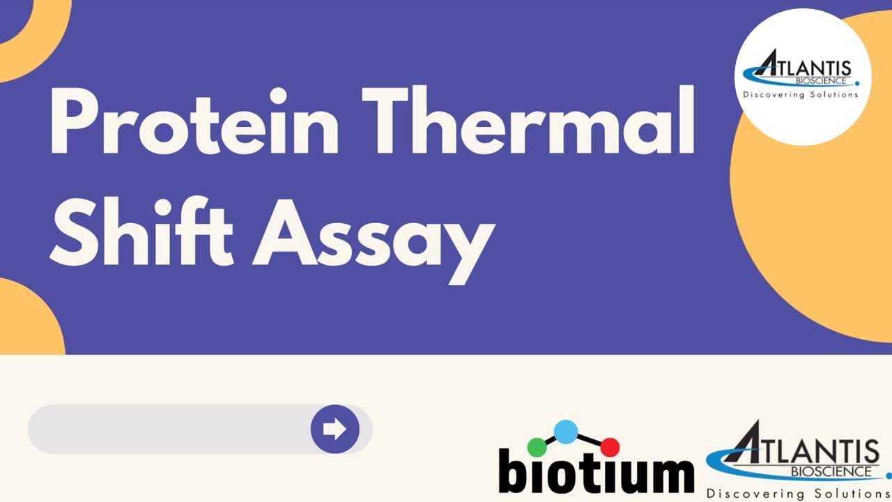 Protein Thermal Shift Assay- Glomelt™️ Thermal Shift Protein Stability ...