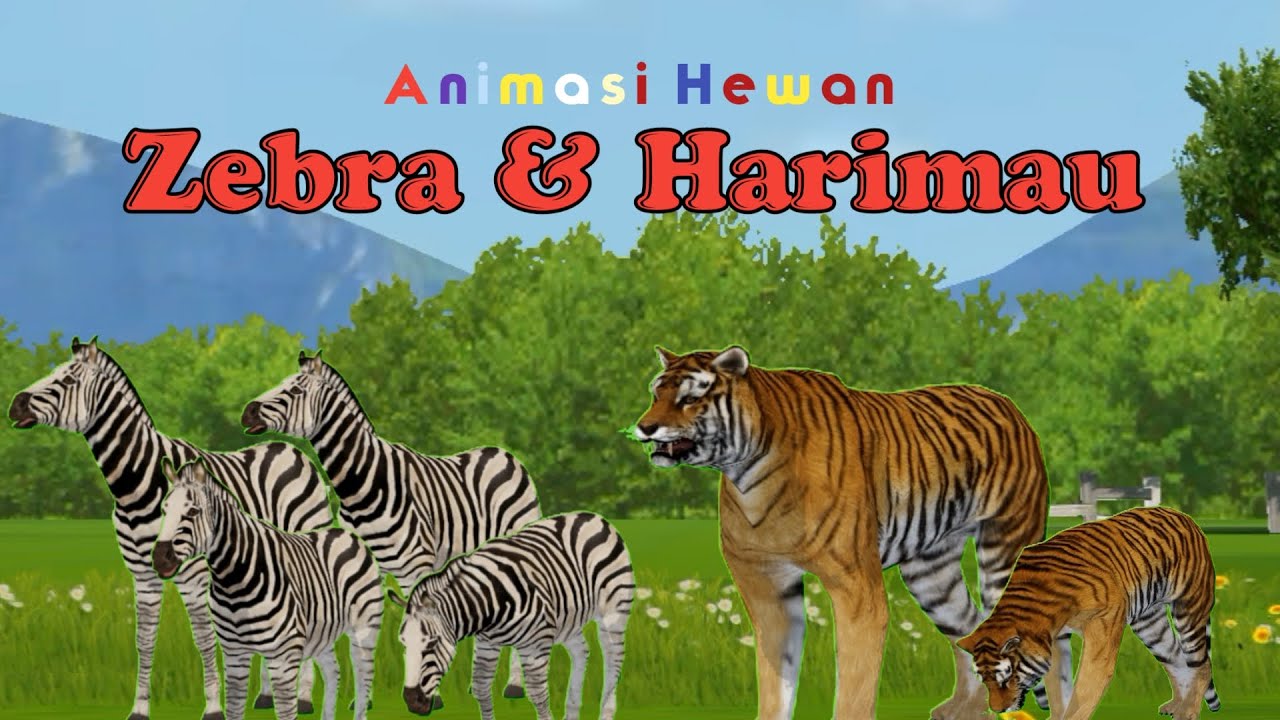 Animasi hewan Zebra & Harimau untuk anak anak - YouTube