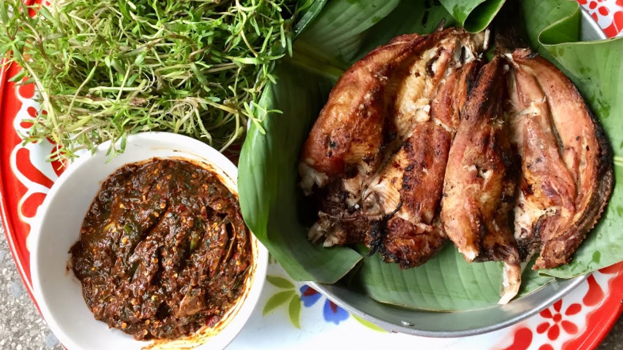 Making fermented fish sauce for seasoning, Coriander with Hog plum ...