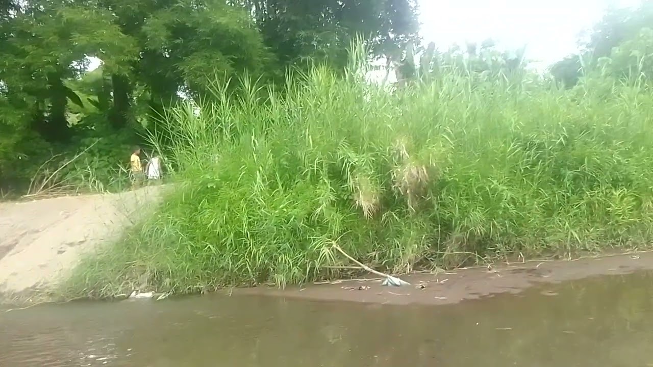 At the farm part 1. #Camote - YouTube