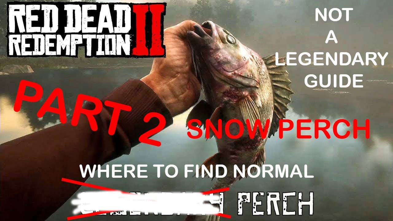 RDR2 2nd Perch Fishing Spot - NOT LEGENDARY - SPOILERS - YouTube