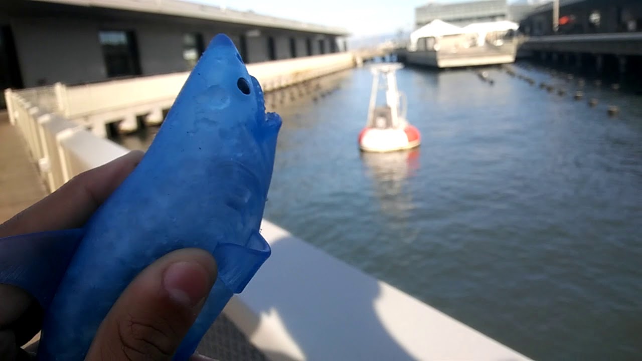 Say Hello to Finn! - YouTube