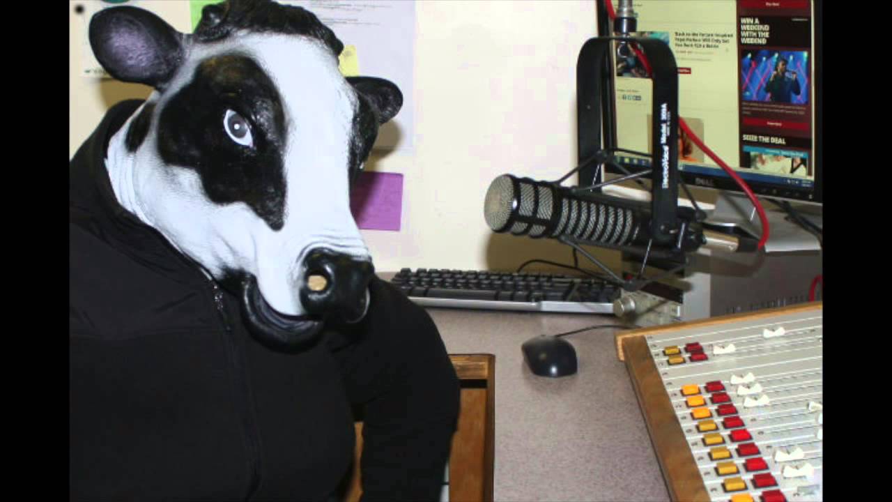 Haiku Cow #1 - YouTube
