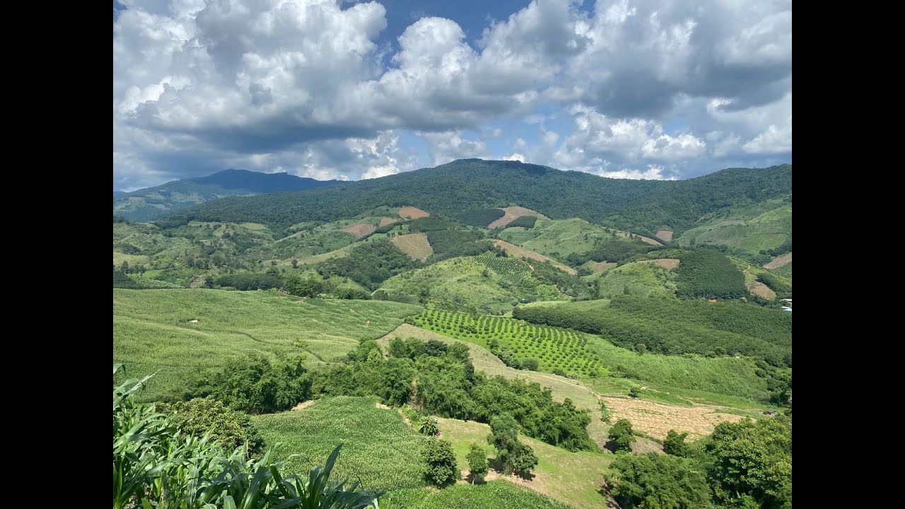 View best location - YouTube