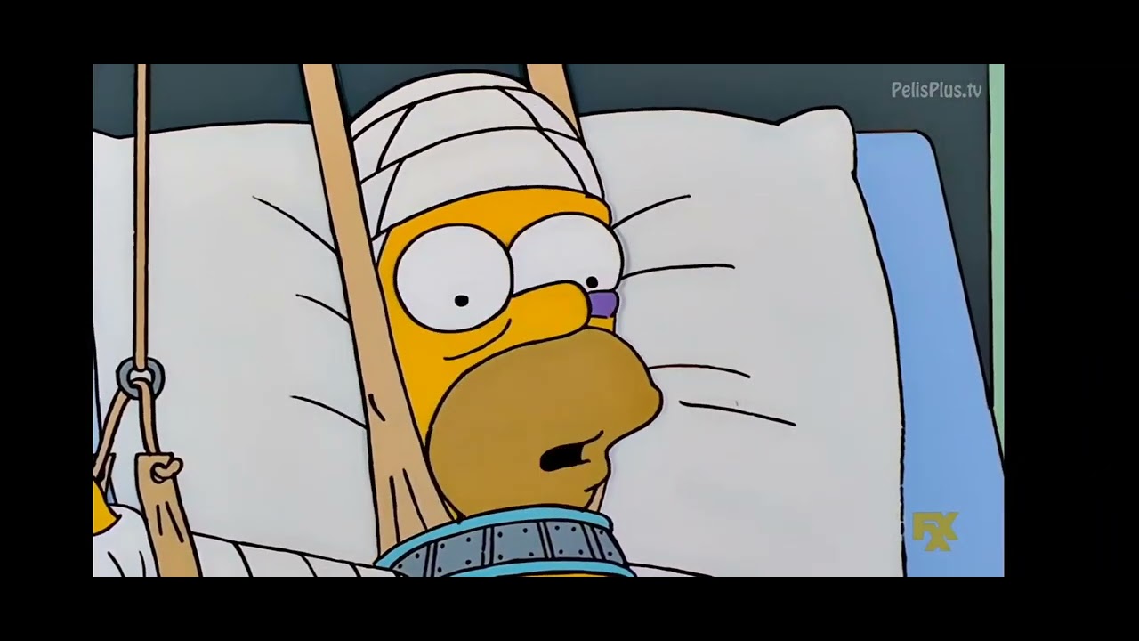 los simpson, homero y el riñón - YouTube