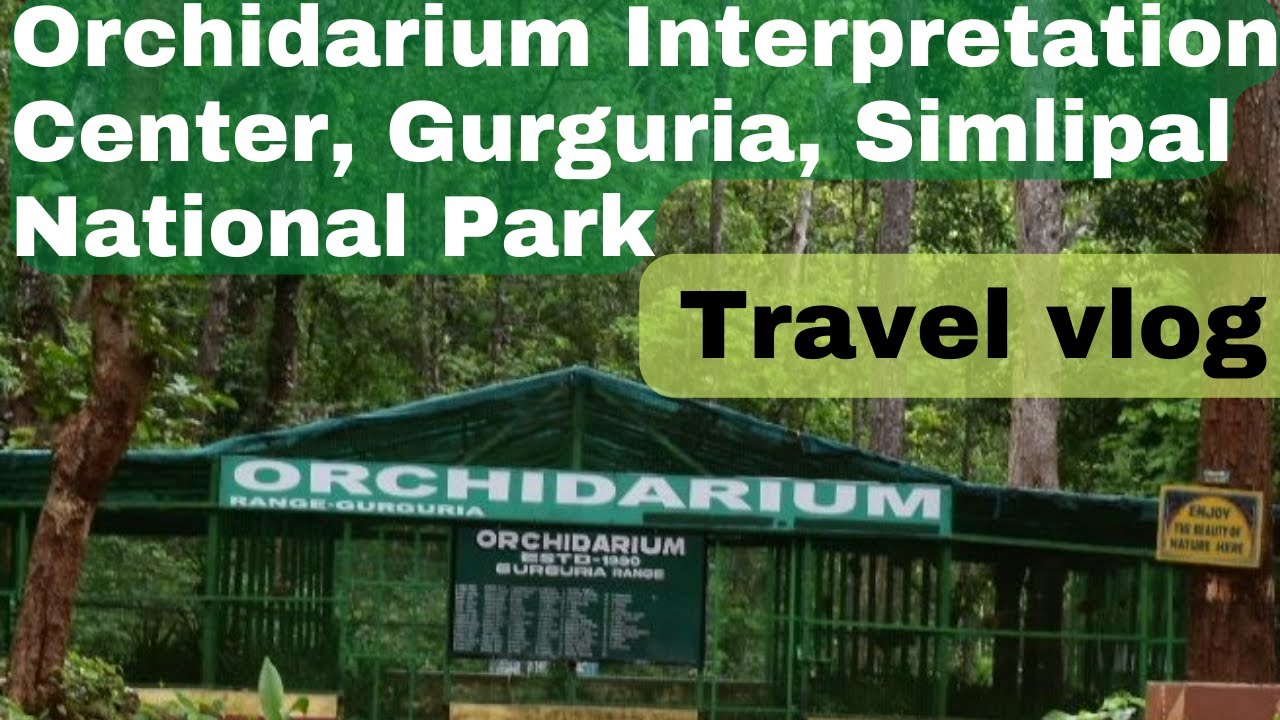 The Mysterious Orchidarium in Similipal National Park| Interpretation ...