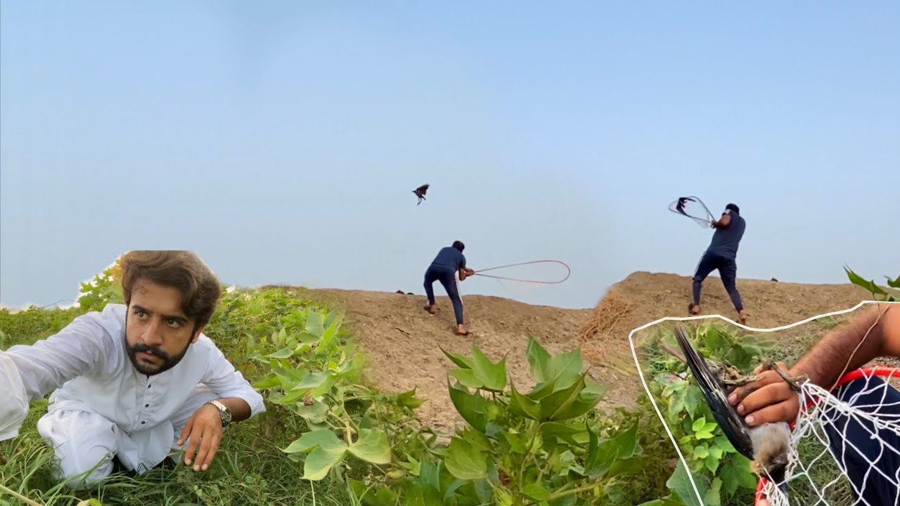 We caught the crow | how to catch a crow || Apna Dihat - YouTube