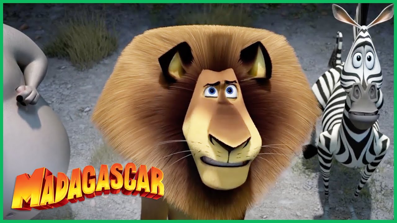DreamWorks Madagascar em Português | A polícia | Desenhos Animados - YouTube