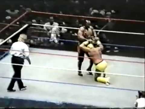 WWF Live House Show (Fan Cam): MSG Madison Square Garden 11 26 1994 ...