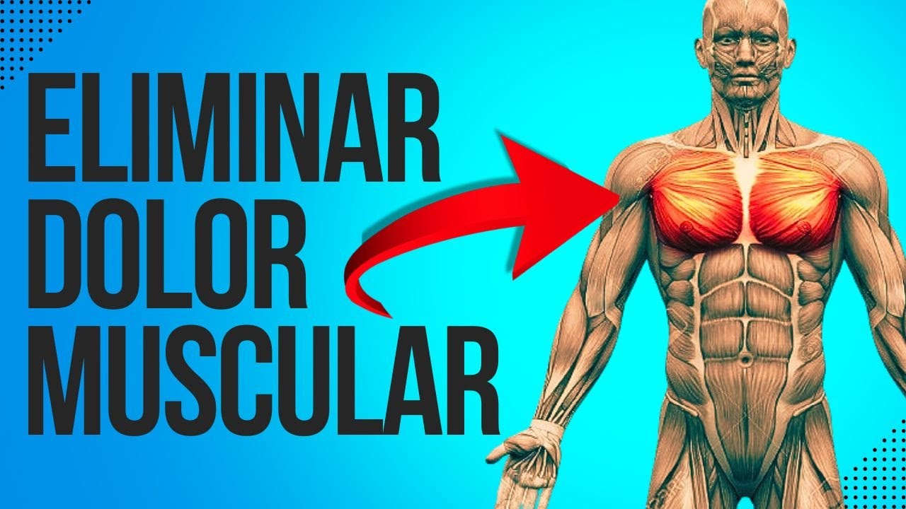 Cómo QUITAR las AGUJETAS DEL PECHO Cuánto Dura el DOLOR MUSCULAR en el ...