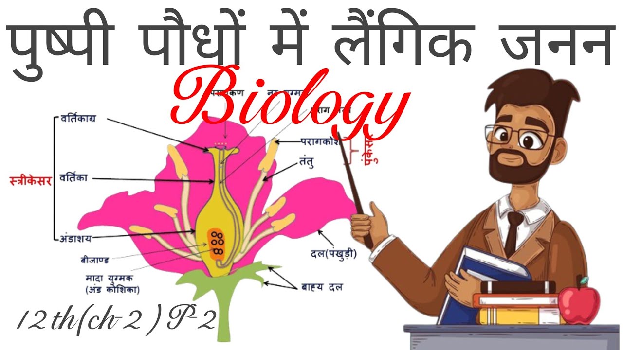 pushpi padapon mein laingik janan /pushpi padapon mein laingik janan ...