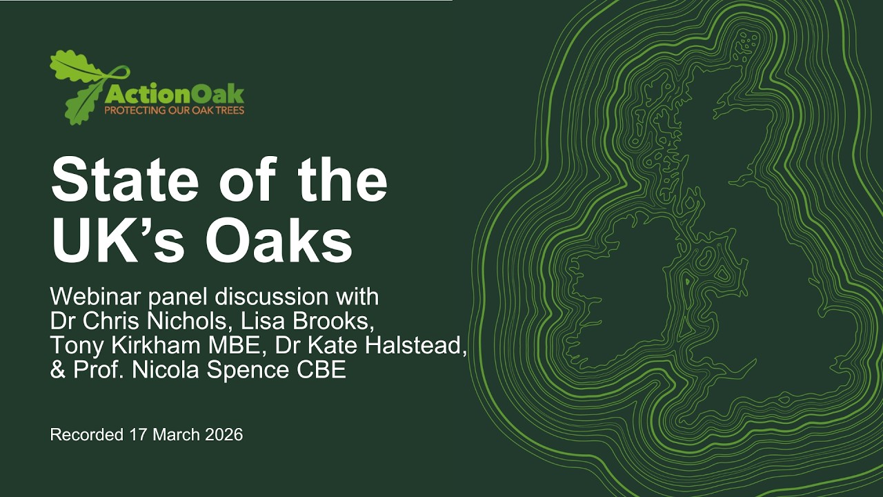 Action Oak: The State of the UK's Oaks Webinar - YouTube