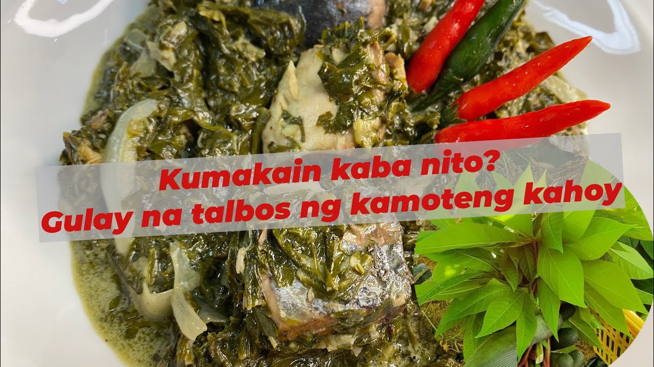 Gulay Na Talbos Ng Kamoteng Kahoy | Ugbos San Bilanghoy Sa Bicol ...