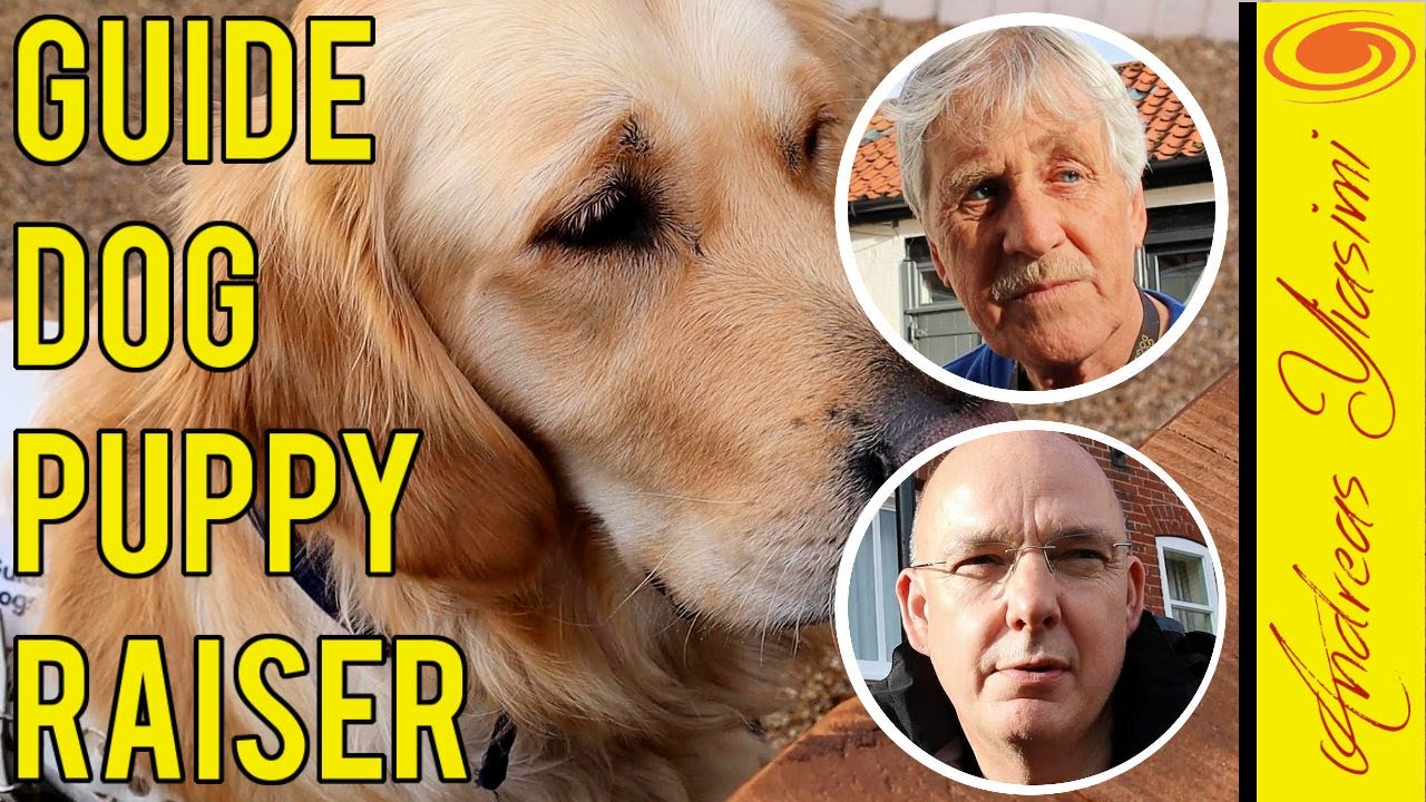 Chat with Guide Dog Puppy Raiser: Inspiring Coastal Adventures - YouTube