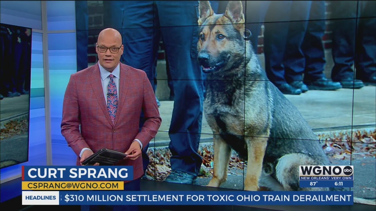 Anna 4 Paws gifts Louisiana K-9 units with canine-specific first-aid ...