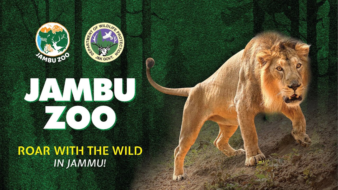 Jambu Zoo, Jammu. Official Film - YouTube