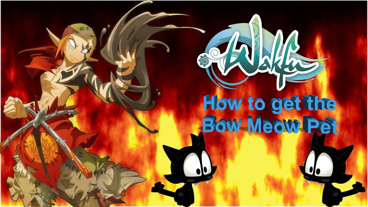The Wakfu Guide - How to get the Bow Meow Pet - YouTube