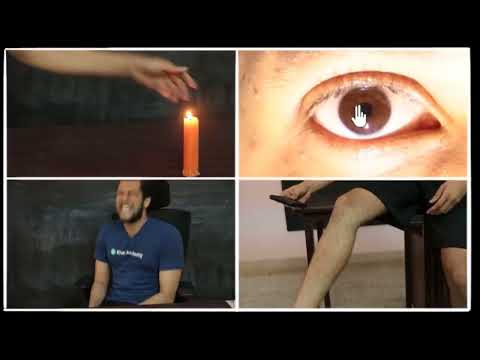 Refleks ve Refleks Arkı (Biyoloji)