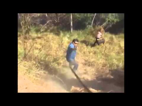 Reporter falling on live TV - YouTube