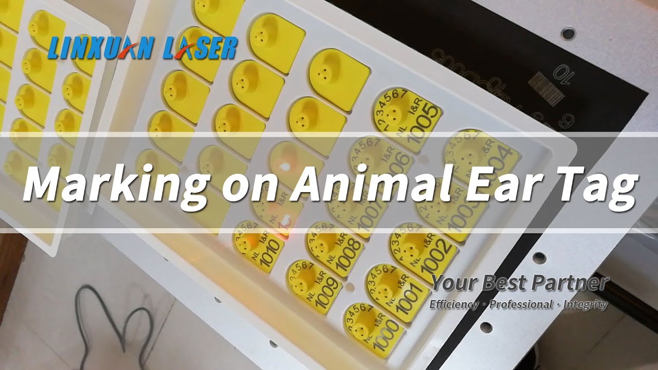 Laser Marking Numbers for Animal Ear Tag Plastic Laser Engraver - YouTube