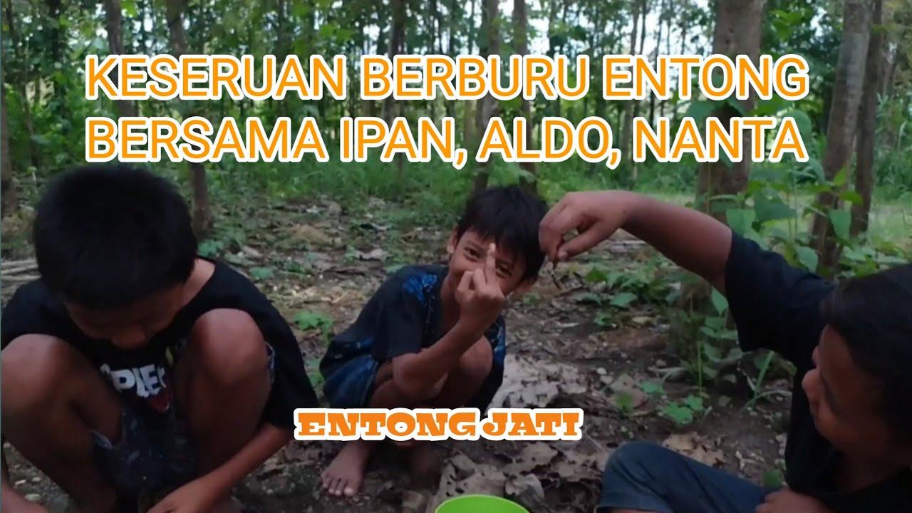 CARI ENTONG DIBAWAH POHON JATI | Vlog Part 1 - YouTube