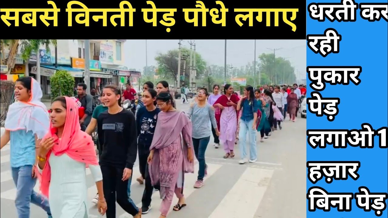 🌎🌳🌿धरती करे यही पुकार🌳🌿पैड लगाओ एक हज़ार🌳Zking Institute की तरफ़ से एक ...