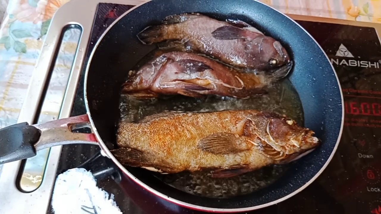 Cooking fried fish for Lunch - YouTube