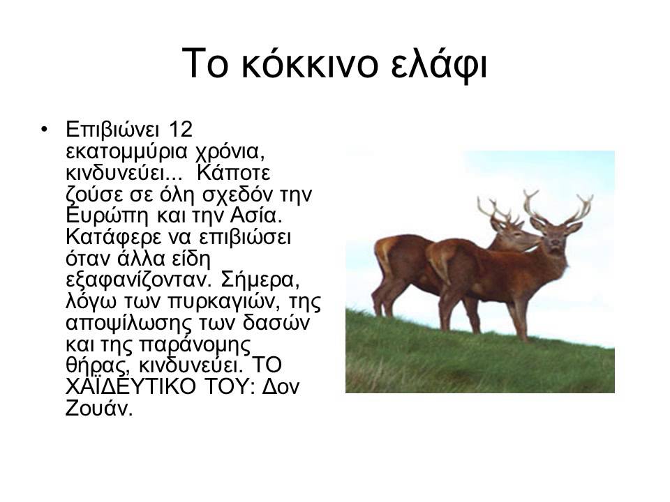 ΖΩΑ ΥΠΟ ΕΞΑΦΑΝΙΣΗ - YouTube