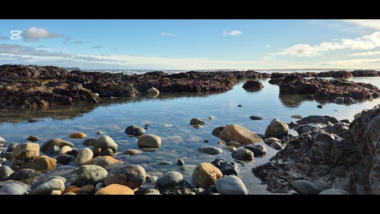 Lamph - Only Our Rivers Run Free - YouTube