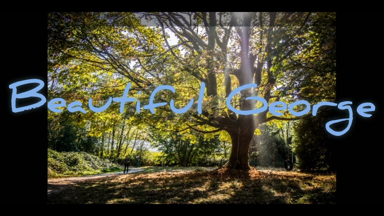 beautiful George. - YouTube