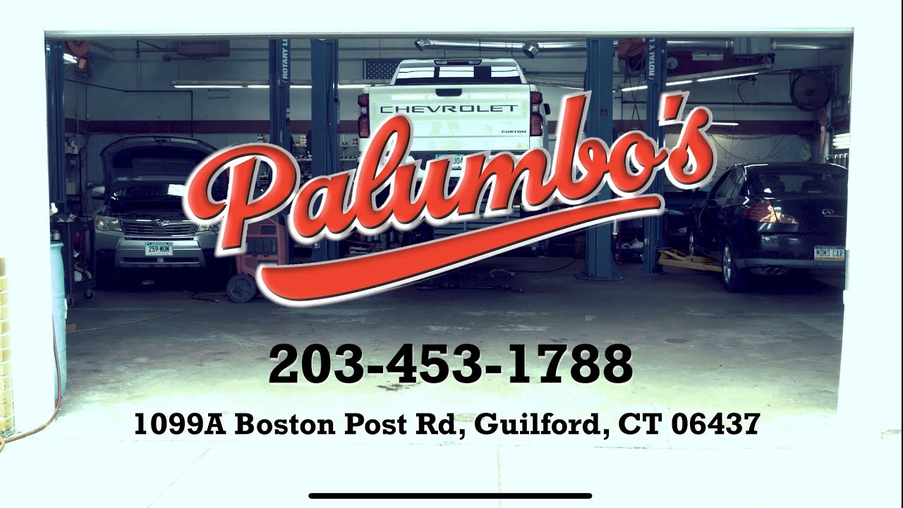 PALUMBOS VIDEO 1 - YouTube