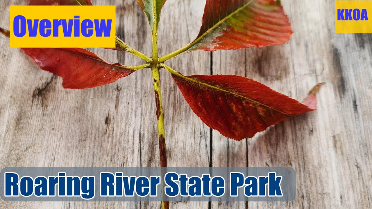 Roaring River State Park Overview - YouTube