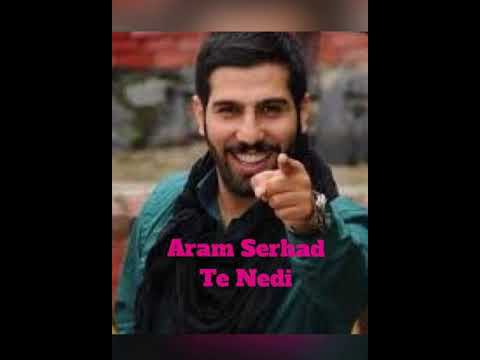 Te nedi (Lyrics Kürtçe/Türkçe) - Aram Serhad