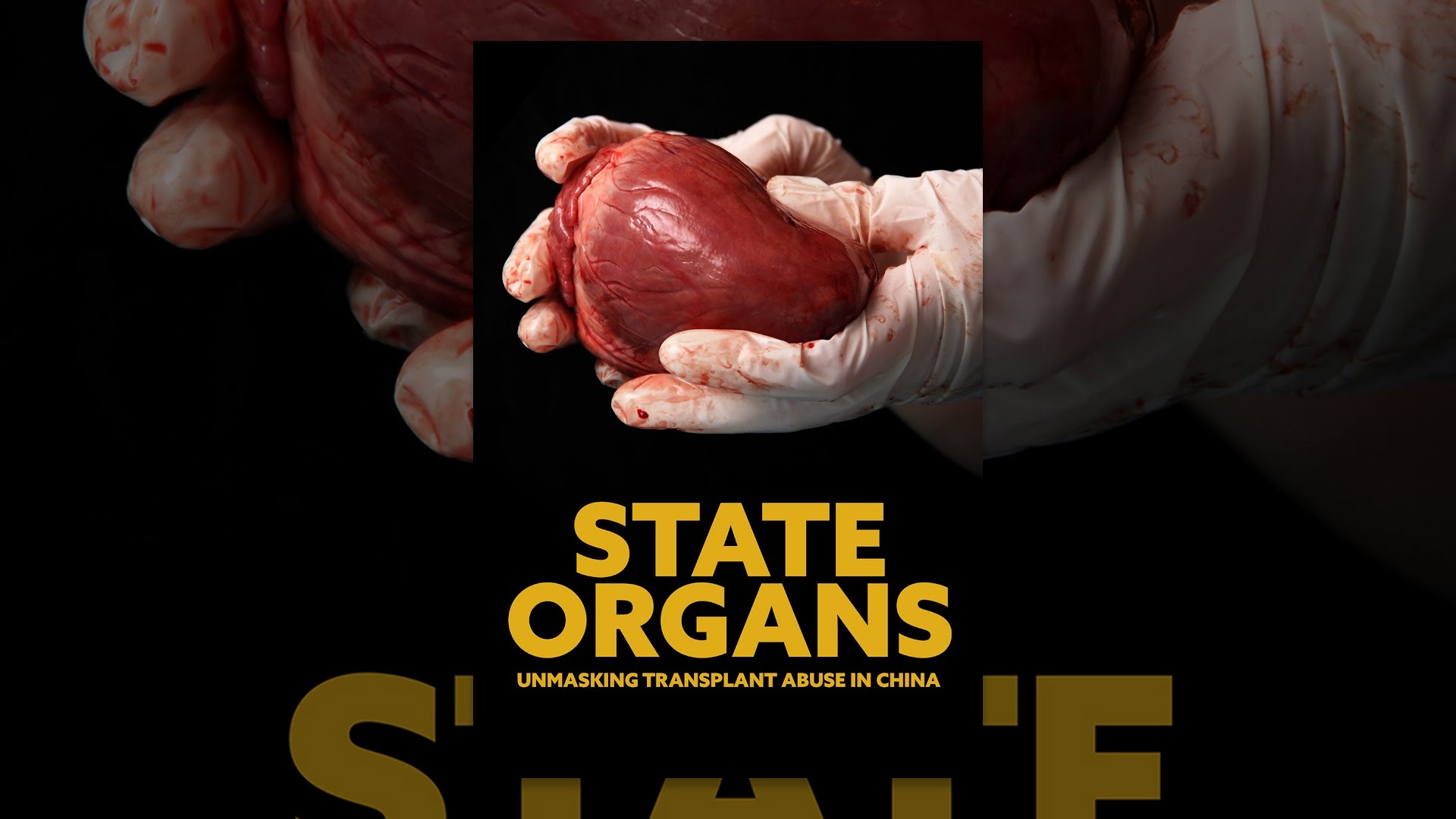 State Organs - YouTube