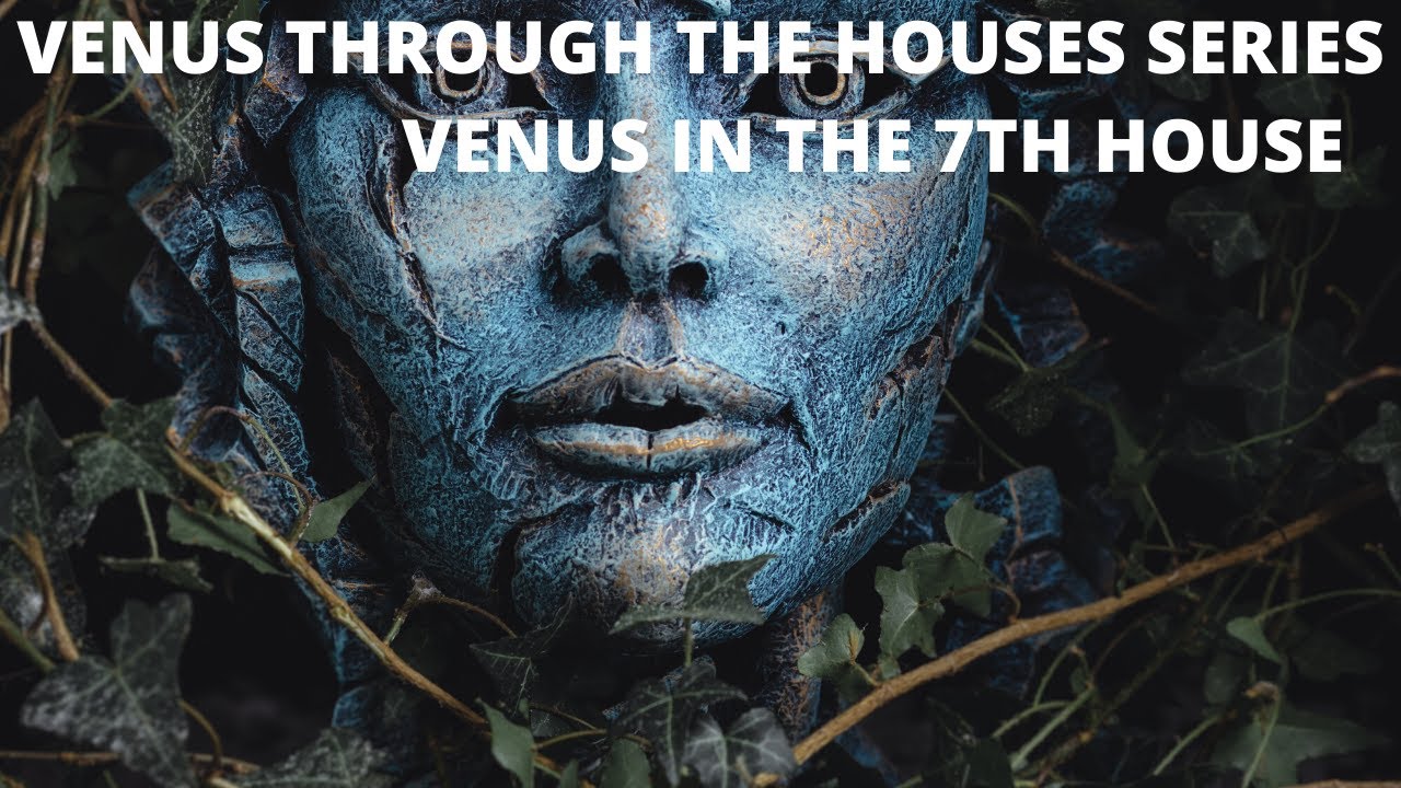 Natal Venus in the 7th House - YouTube