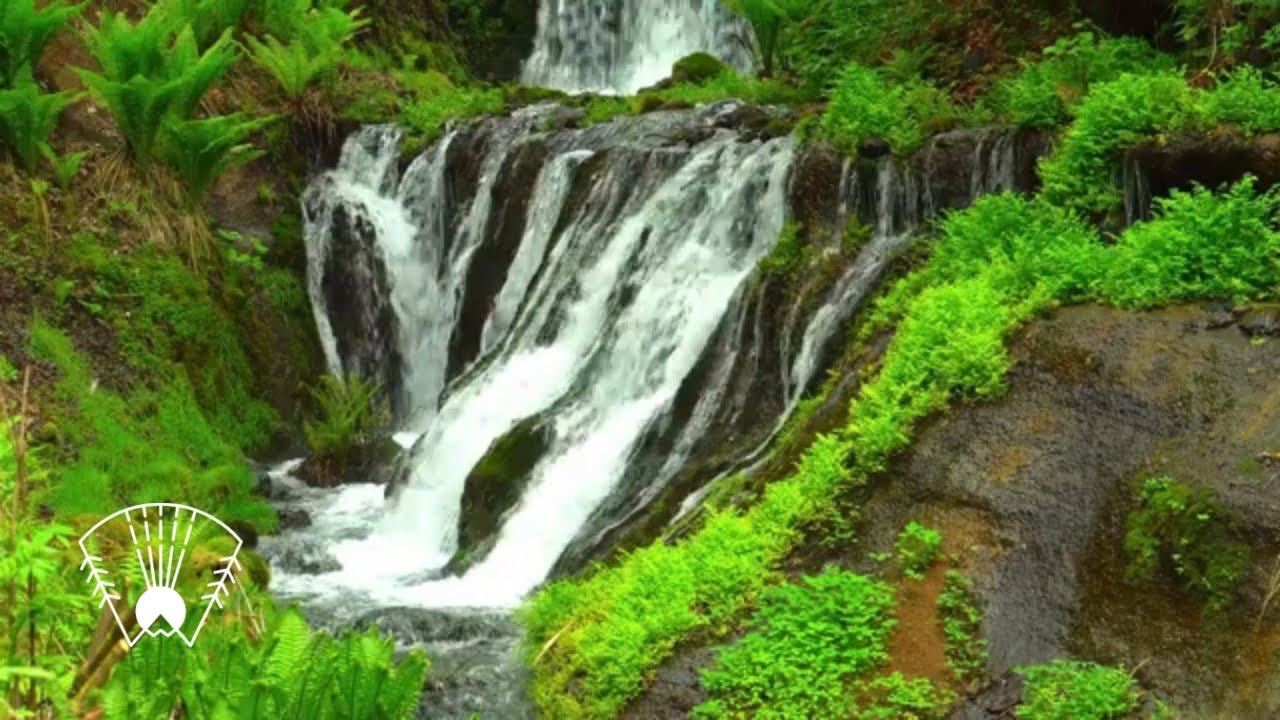 Feel Good Fast 20 MINUTE Meditation Music Healing for your Body & Mind ...