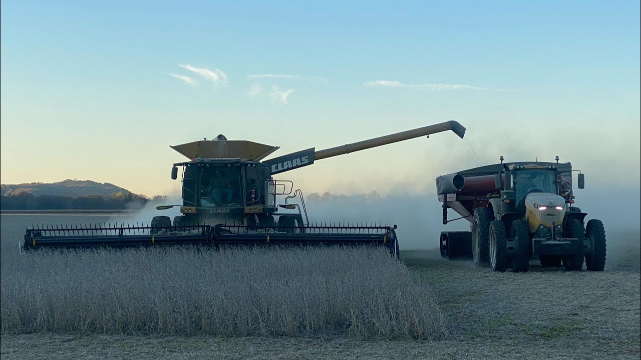 Most productive day of harvest 2021 - YouTube