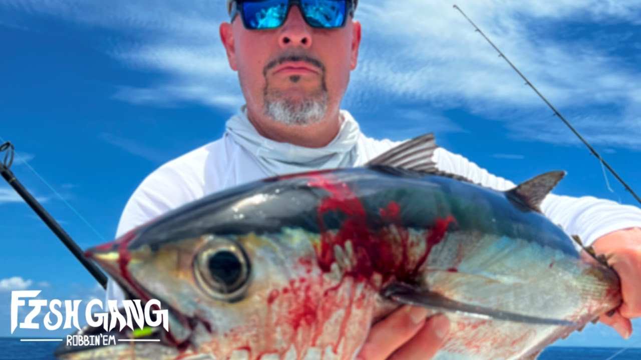 Fish Gang Episode 3 Perfect Tuna - YouTube