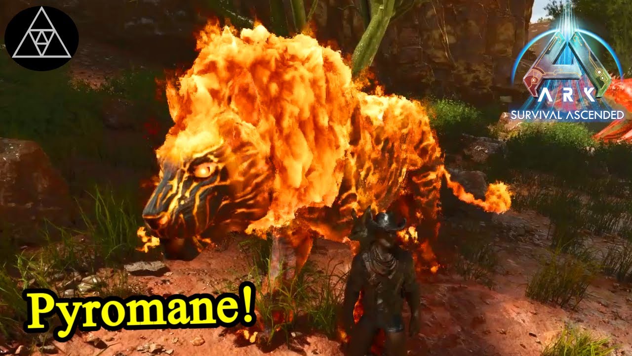 Diese Katze hat FEUER! ASA Pyromane zähmen! ASA E101 - ARK: Survival ...