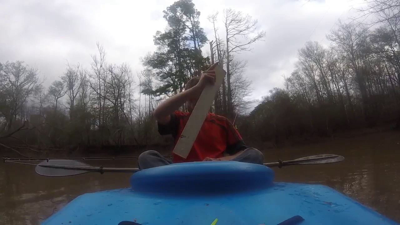 White Bass Fishing on the Angelina River - YouTube