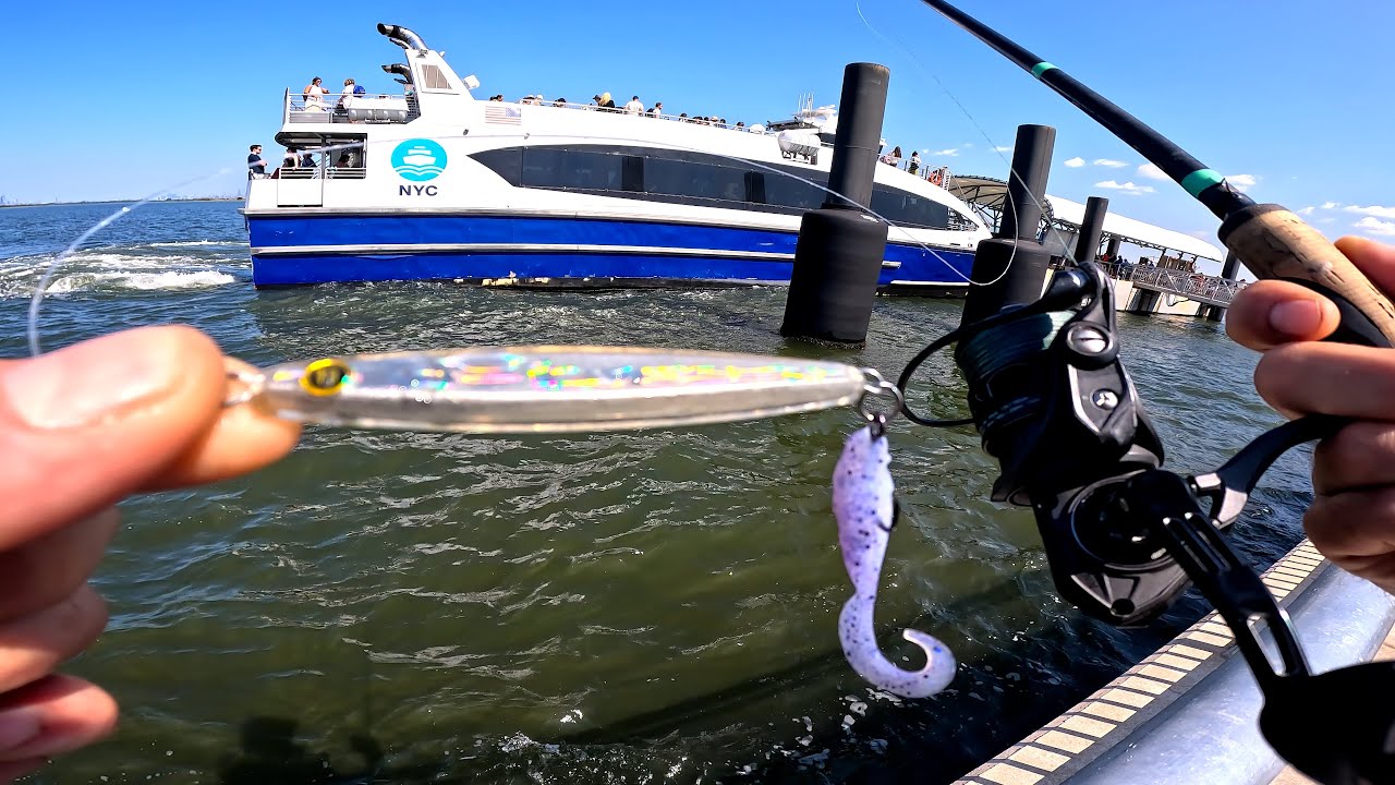 Fluke (Summer Flounder) Shore Fishing NYC - YouTube