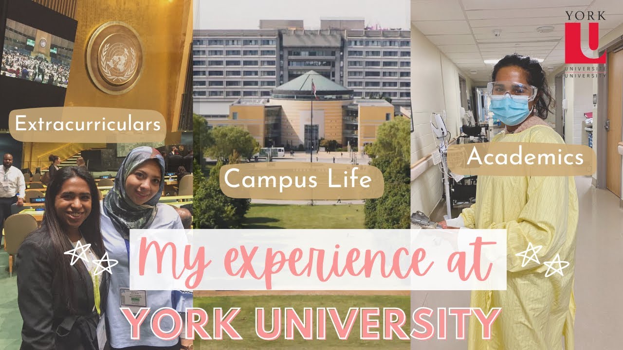 York University Experience | Everything You Need to Know - YouTube