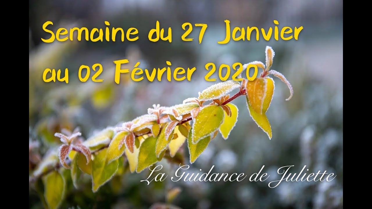 ⏳ Semaine du 27 Janvier au 02 Février 2020 ⏳ - YouTube