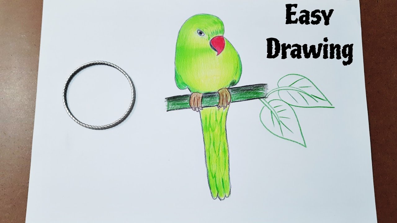 Parrot Drawing | How To Draw Parrot Step by Step for Beginners | Parrot ...
