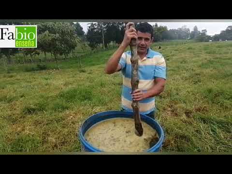 Ideas de #mierda. 💩.