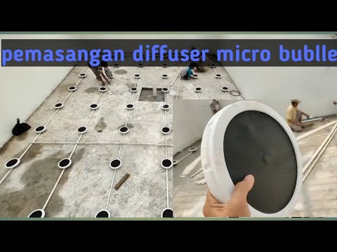 Proses pemasangan diffuser micro buble untuk bioflok ikan nila - YouTube